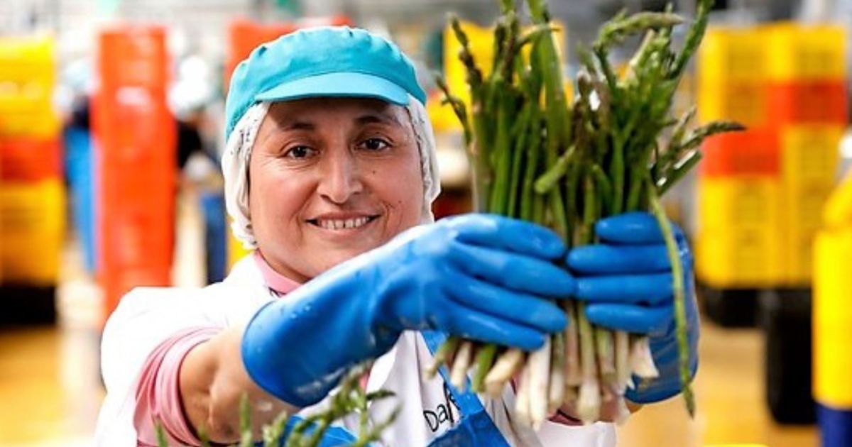 ¿Es posible alcanzar las metas de Con Punche Perú 2.0? | Conexión ESAN