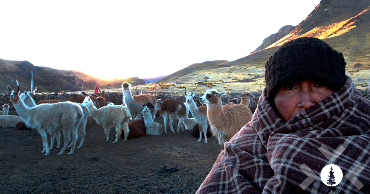 ¿Cómo se prepara el Perú para enfrentar el friaje? | Conexión ESAN