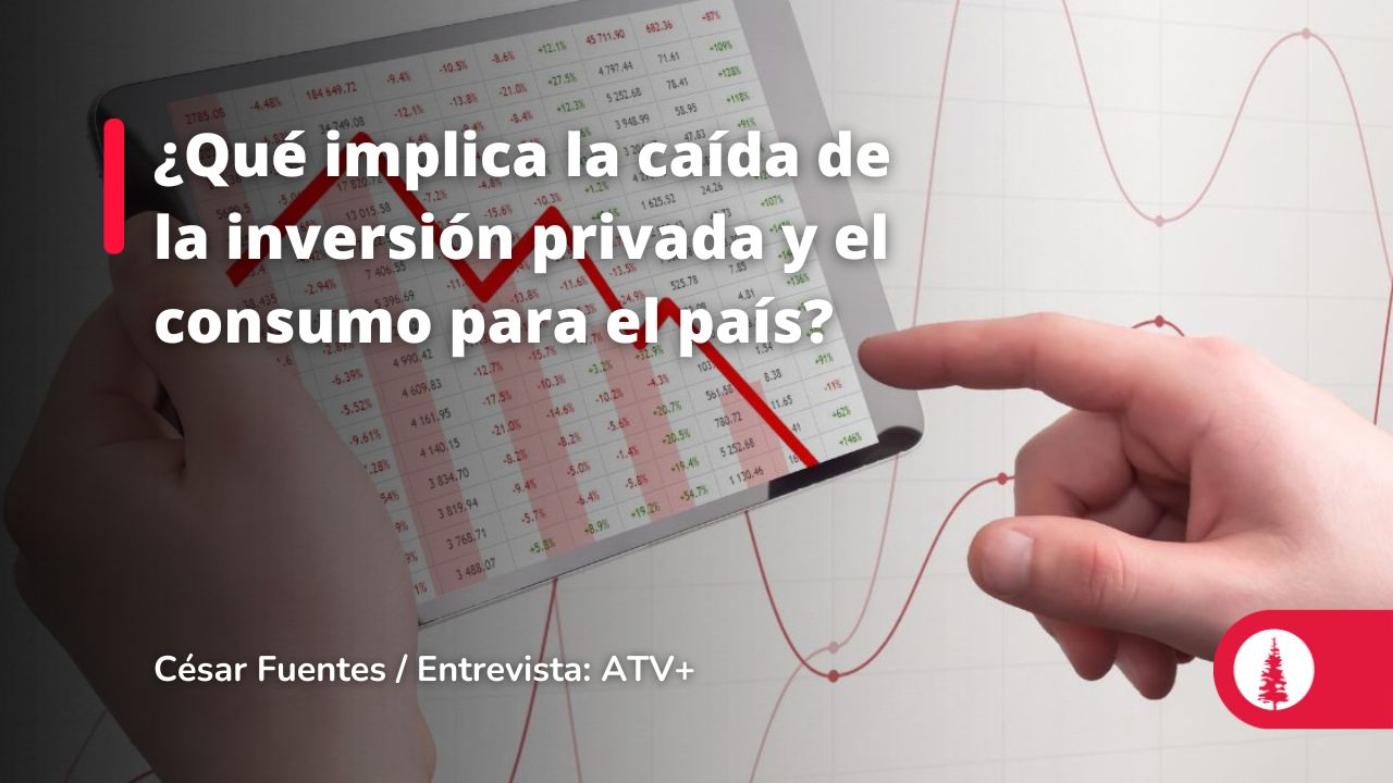 ¿Qué implica la caída de la inversión privada y el consumo para el país ...