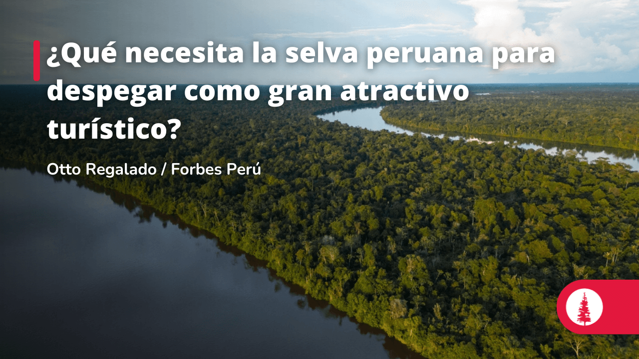 ¿Qué necesita la selva peruana para despegar como gran atractivo ...