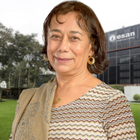 Mujeres en el B2B: ¿Cómo enfrentar los desafíos de esta industria ...